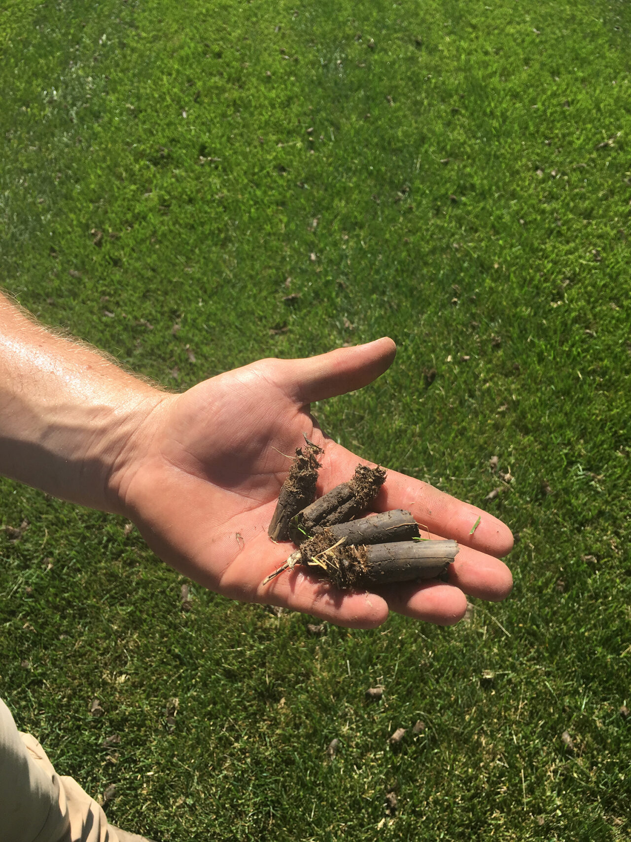 Aeration Services in Lincoln, NE - Good Life Lawncare Aeration Services in Lincoln, NE - Good Life Lawncare