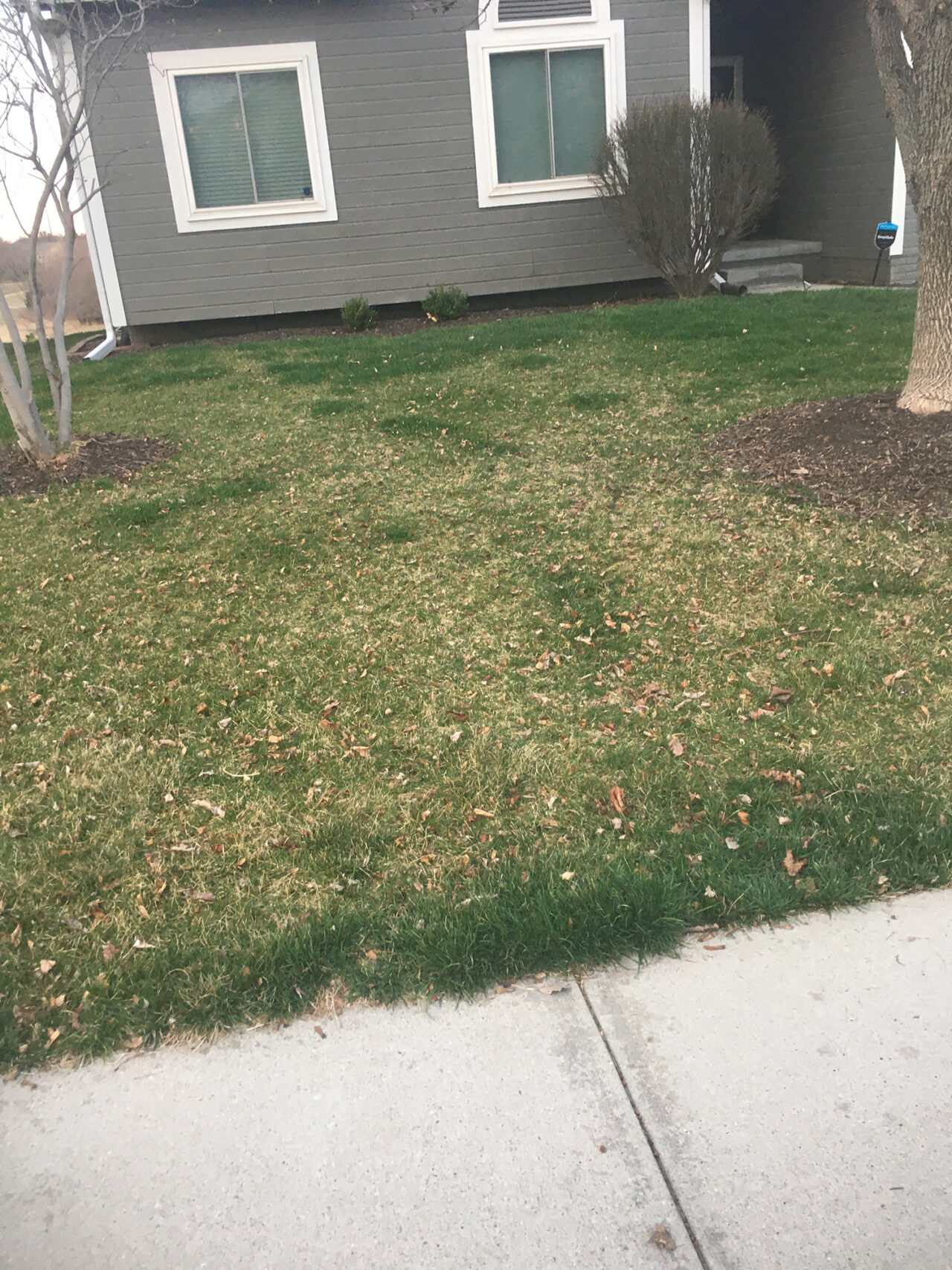 Fungicide Application - Good Life Lawn Care, LLC